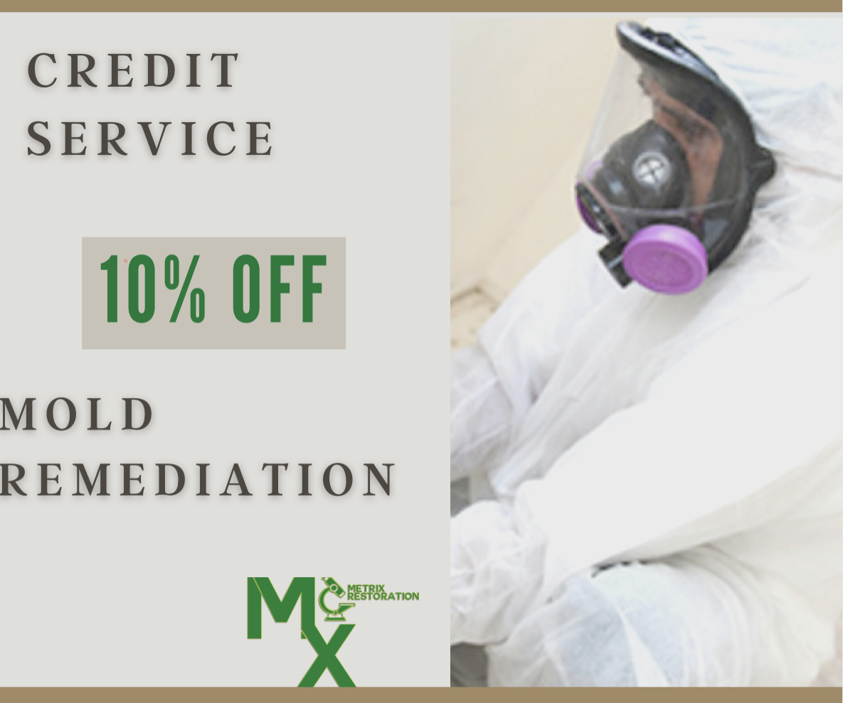 Mold Remediation: Spring Cleaning and Mold Removal 2023 - Flood Metrix