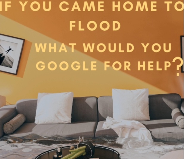 Navigating Basement Water Damage Mitigation in a Hoarder's Home - Flood ...