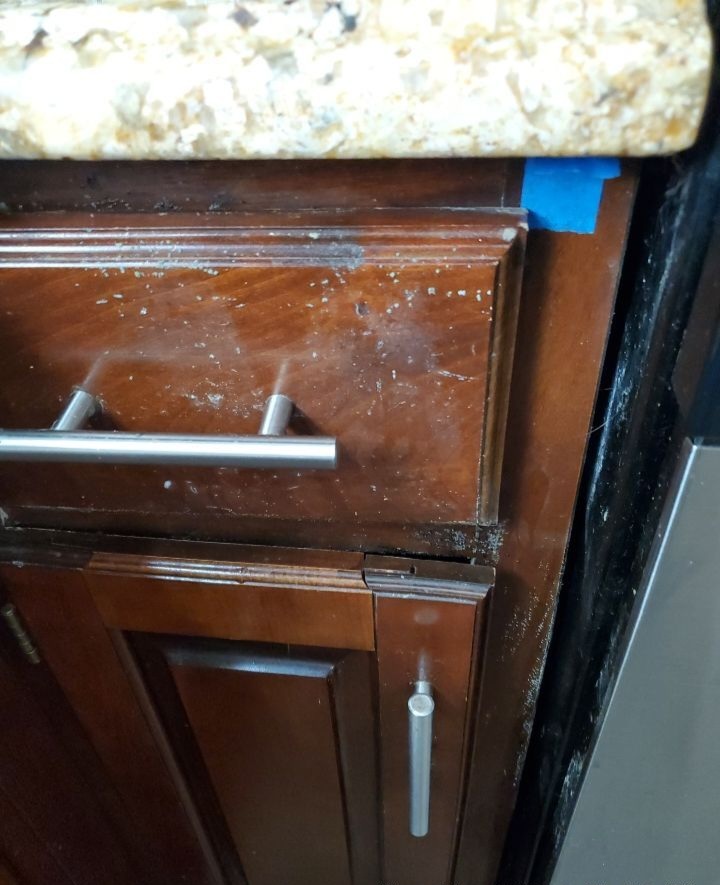 Mold Remediation: Why is mold growing on my Kitchen Cabinets? - Flood ...